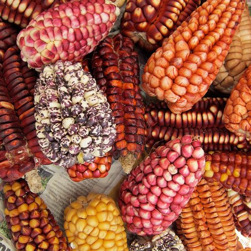 Current Exhibitions – Exhibitions: Robert C. Larson ’56 Art in the ...