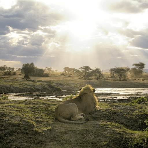 Current Exhibitions – Exhibitions: Robert C. Larson ’56 Art in the ...