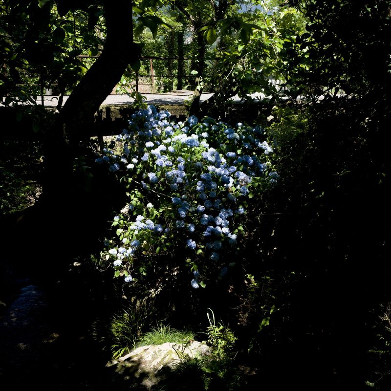 彼岸 – In Another Shore: Work by Shun Yong – Robert C. Larson ’56 Art in ...