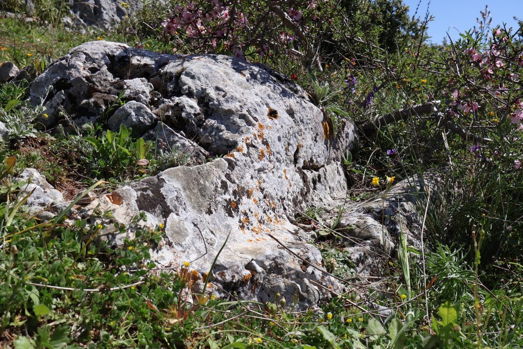 Week 1 – Gingo – Greece at a Crossroads: History, Landscape, and ...