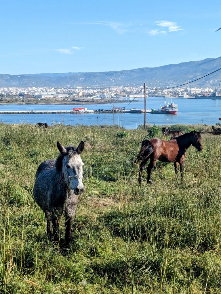 Week 2 – Aselya Gullickson – Greece at a Crossroads: History, Landscape ...