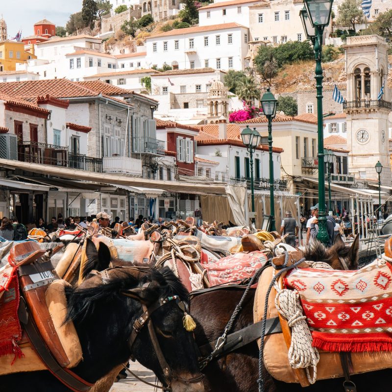 Week 6 – Will Puzella – Greece at a Crossroads: History, Landscape, and ...