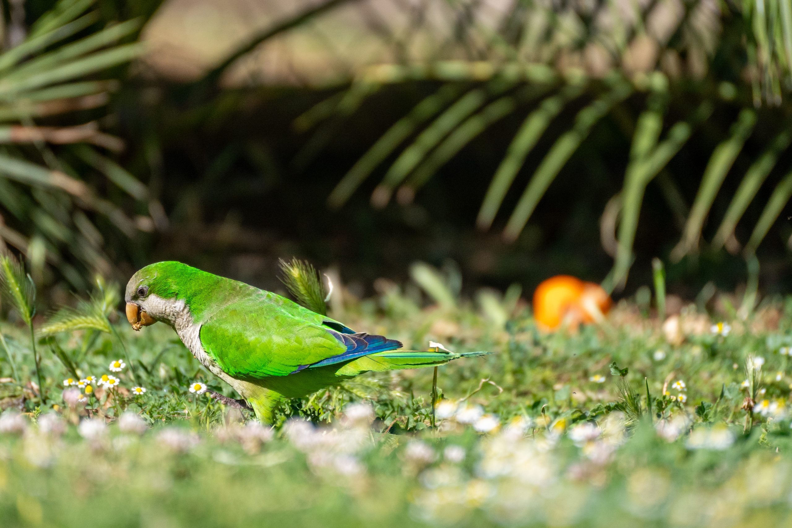 Week 6 – Will Puzella – Greece at a Crossroads: History, Landscape, and ...