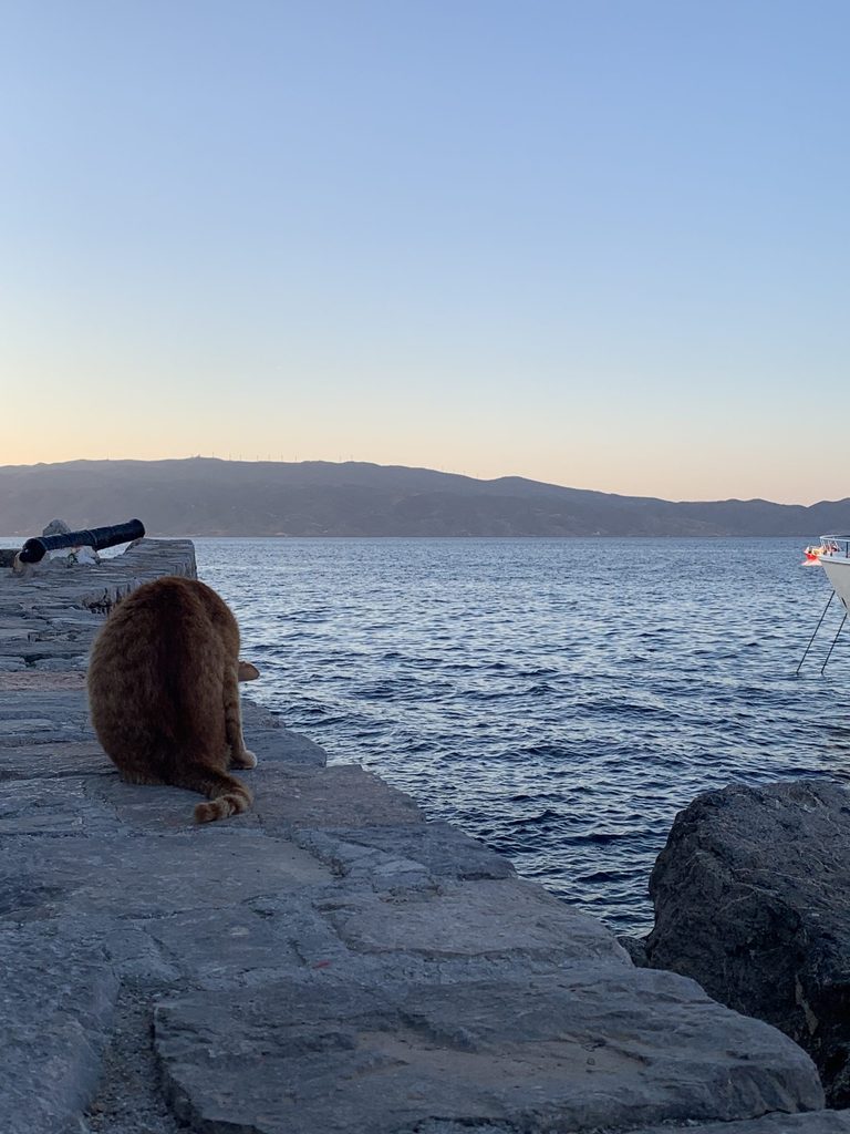 Week 6 – Ellie Simon – Greece at a Crossroads: History, Landscape, and ...