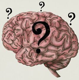 A Heady Database – Voice – Carleton College