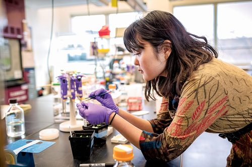 Of Mice and Em – Voice – Carleton College