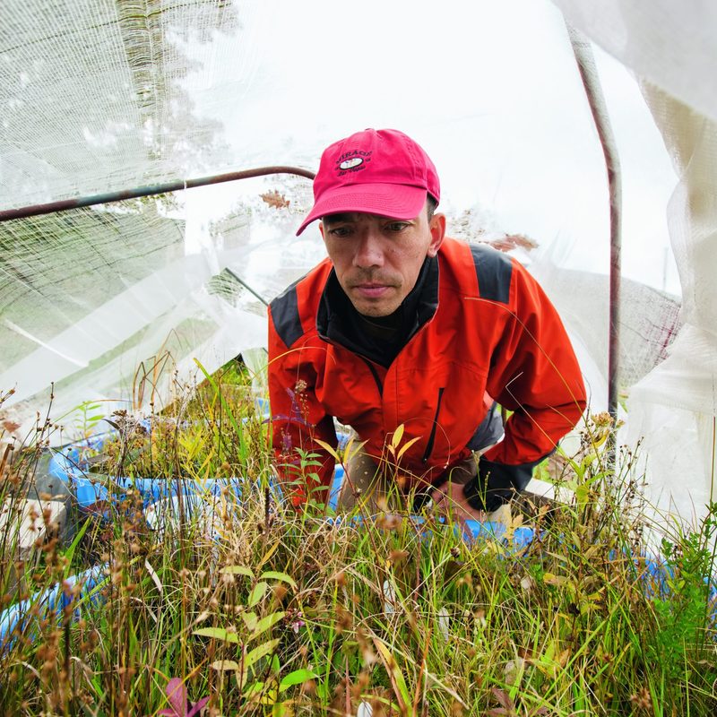 One-Day Apprentice: David Remucal ’93 – Voice – Carleton College
