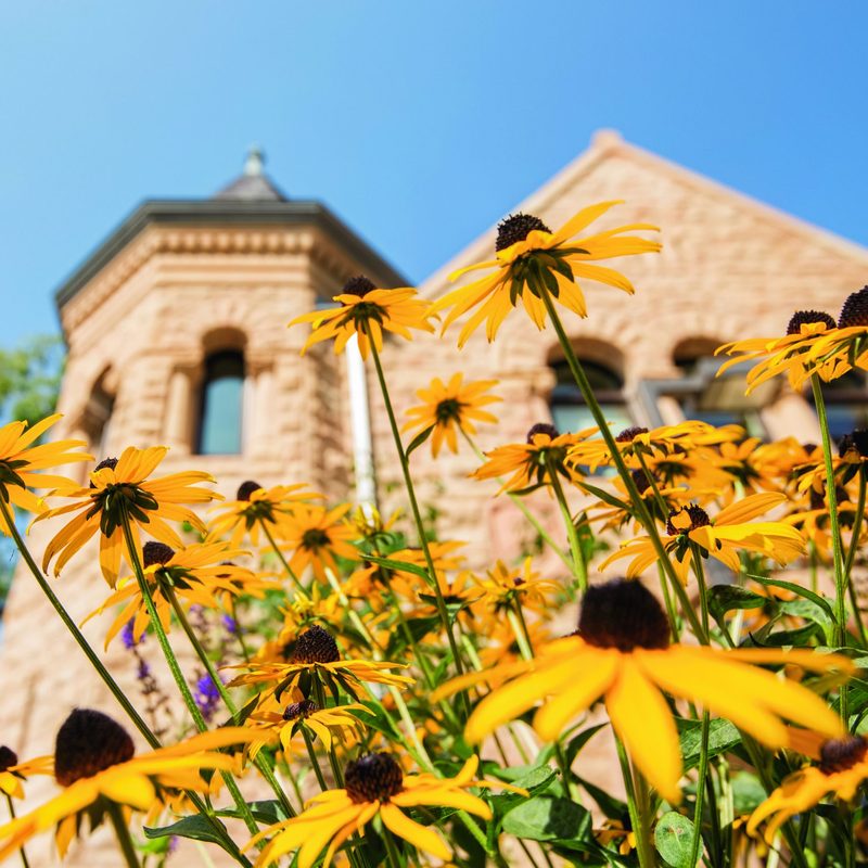 Field Guide to Scoville Hall Renovation – Voice – Carleton College
