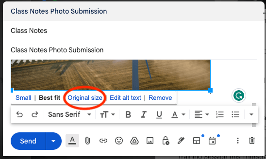Photo Submission Guidelines – Voice – Carleton College