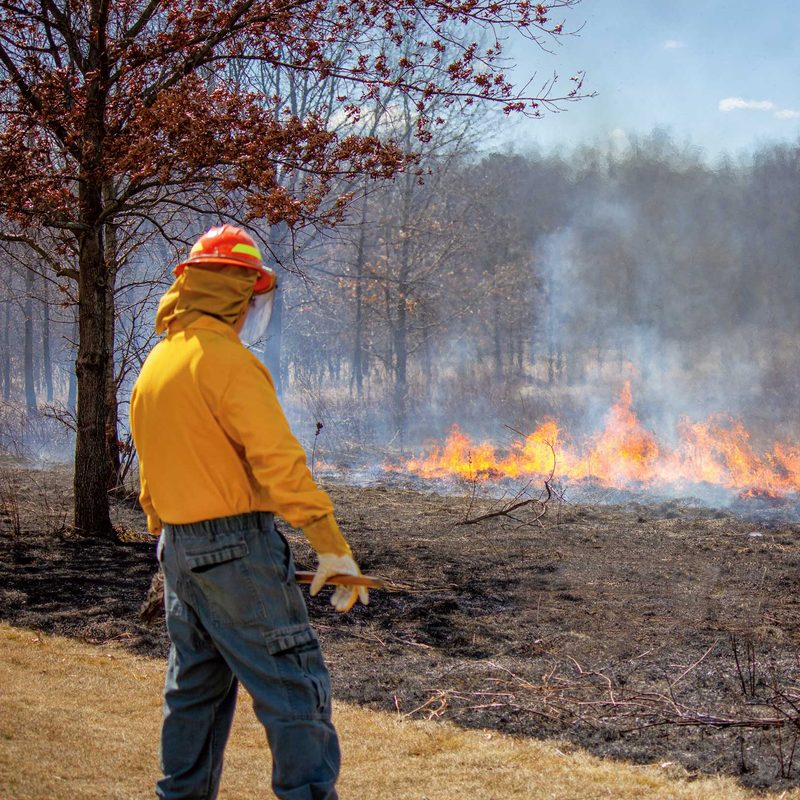 Renewed by Fire – Voice – Carleton College