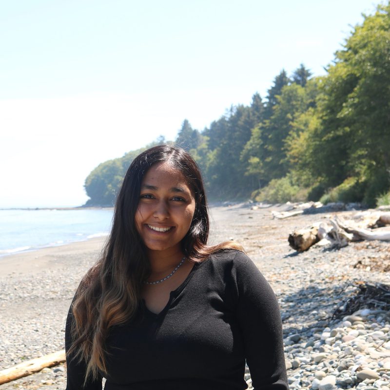 Meet the CS Department SDAs – Sentinel Newsletter – Carleton College