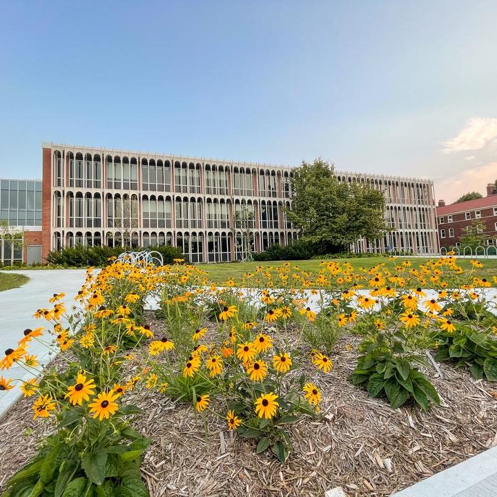 Reminiscing with Classmates Before Reunion – Come Together: Class of ...