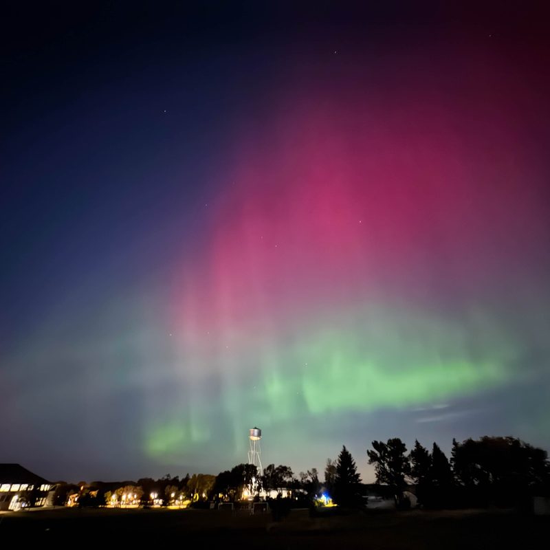 Express STI Testing – Student Resource Guide – Carleton College