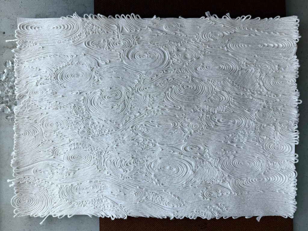 Kaitlyn Lu – 2025 Senior Art Show – Carleton College