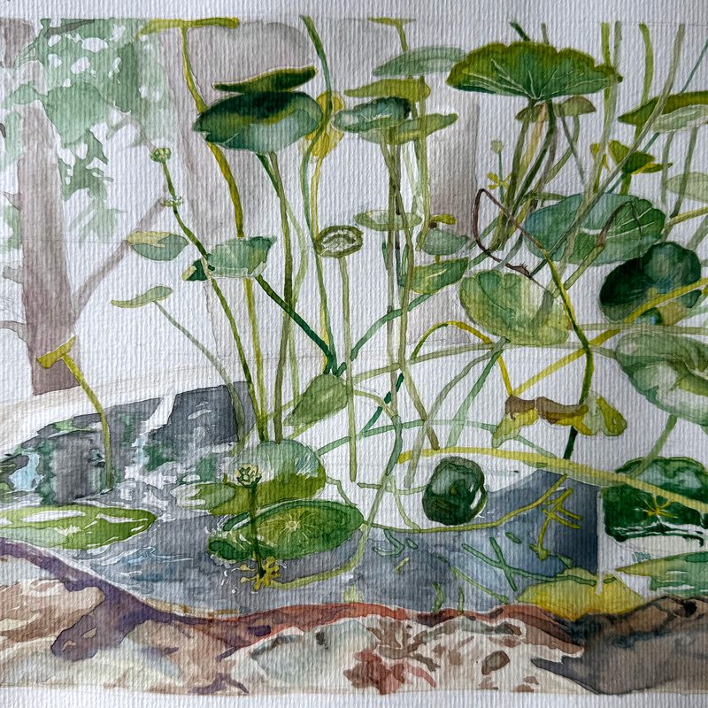 Kaitlyn Lu – 2025 Senior Art Show – Carleton College